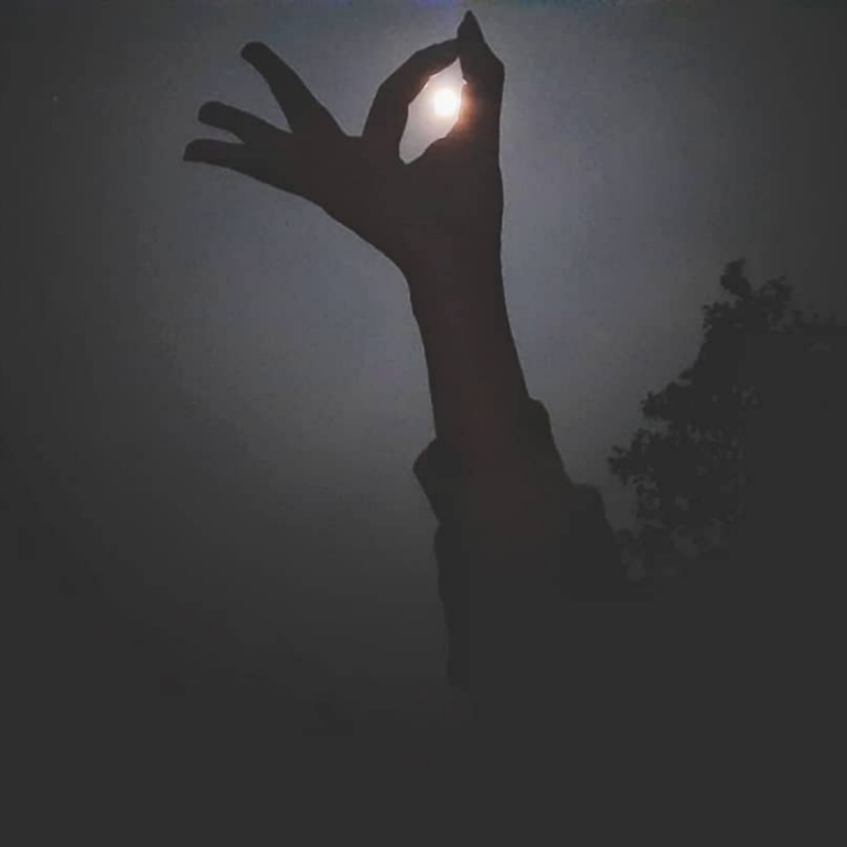 10 perfect tree house moments: The Machan Gallery – Award-winning eco ...